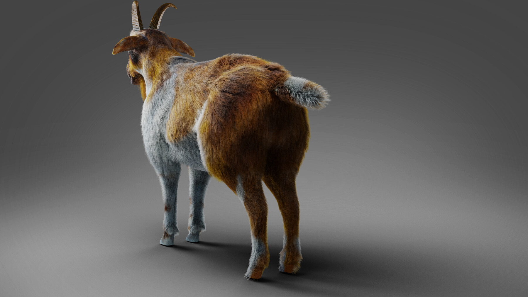 ArtStation - Fur Goat 01 Rigged in Blender | Game Assets
