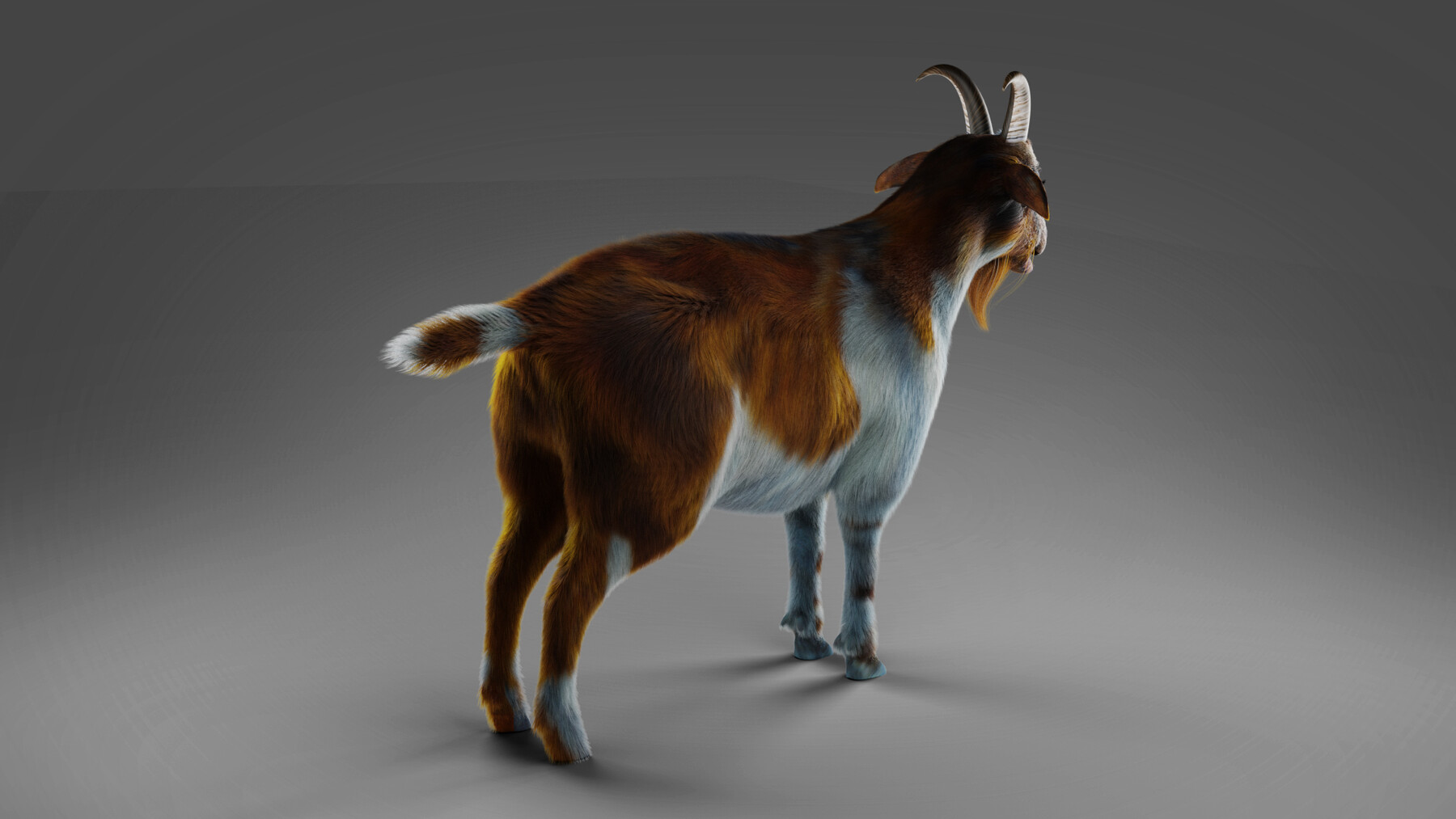 ArtStation - Fur Goat 01 Rigged in Blender | Game Assets
