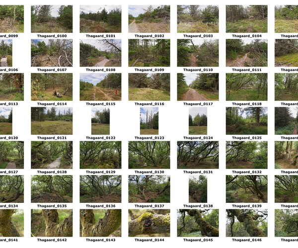 ArtStation - THY VOL.5 - THAGAARD PLANTATION / Photo Reference / 170 images | Resources