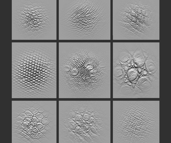 ArtStation - 40 Animal Skin Alpha and Brush | Brushes