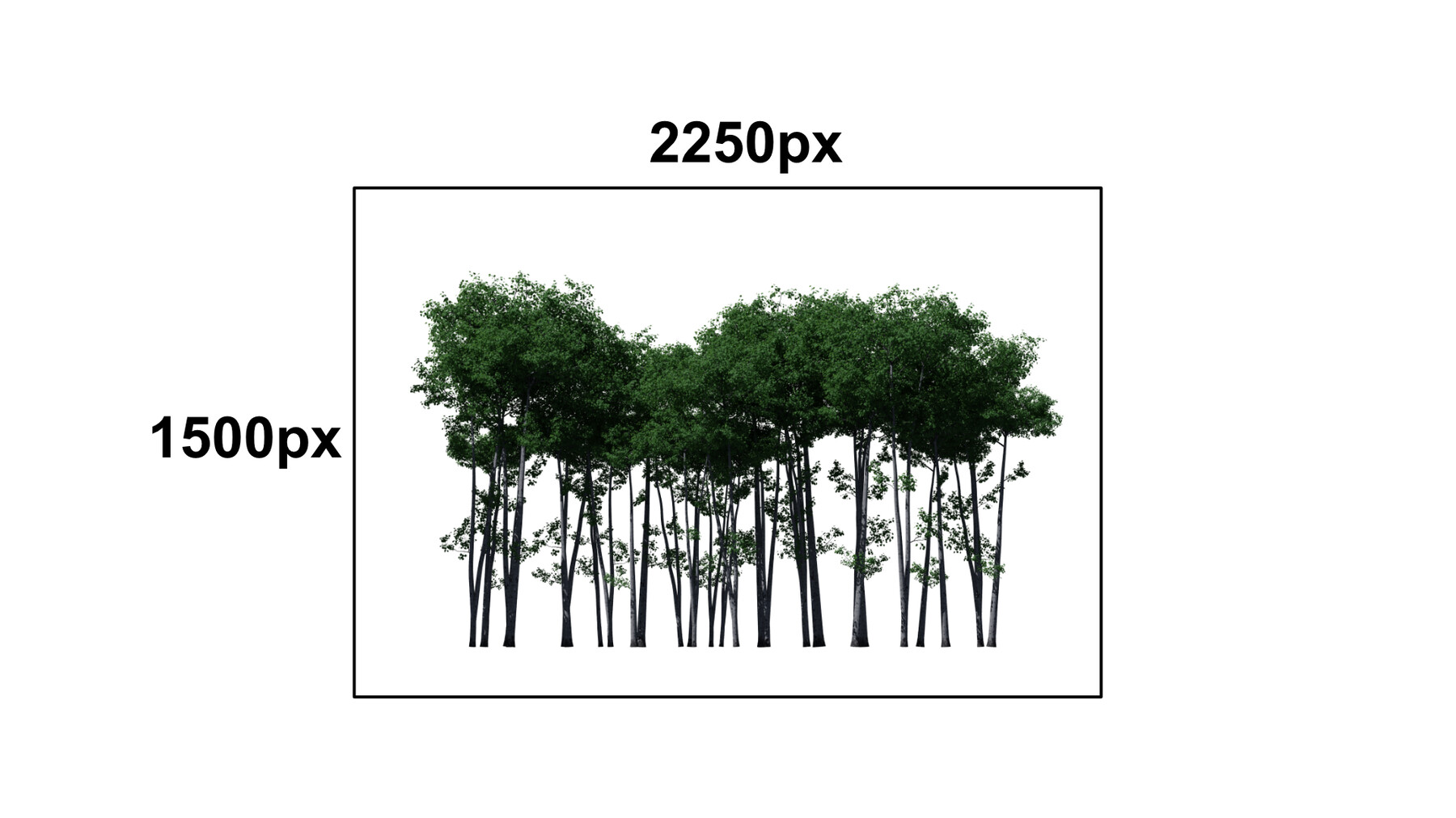 ArtStation - Trees Line, Trees Horizon, PNG, Cutout, Pack 03 | Resources