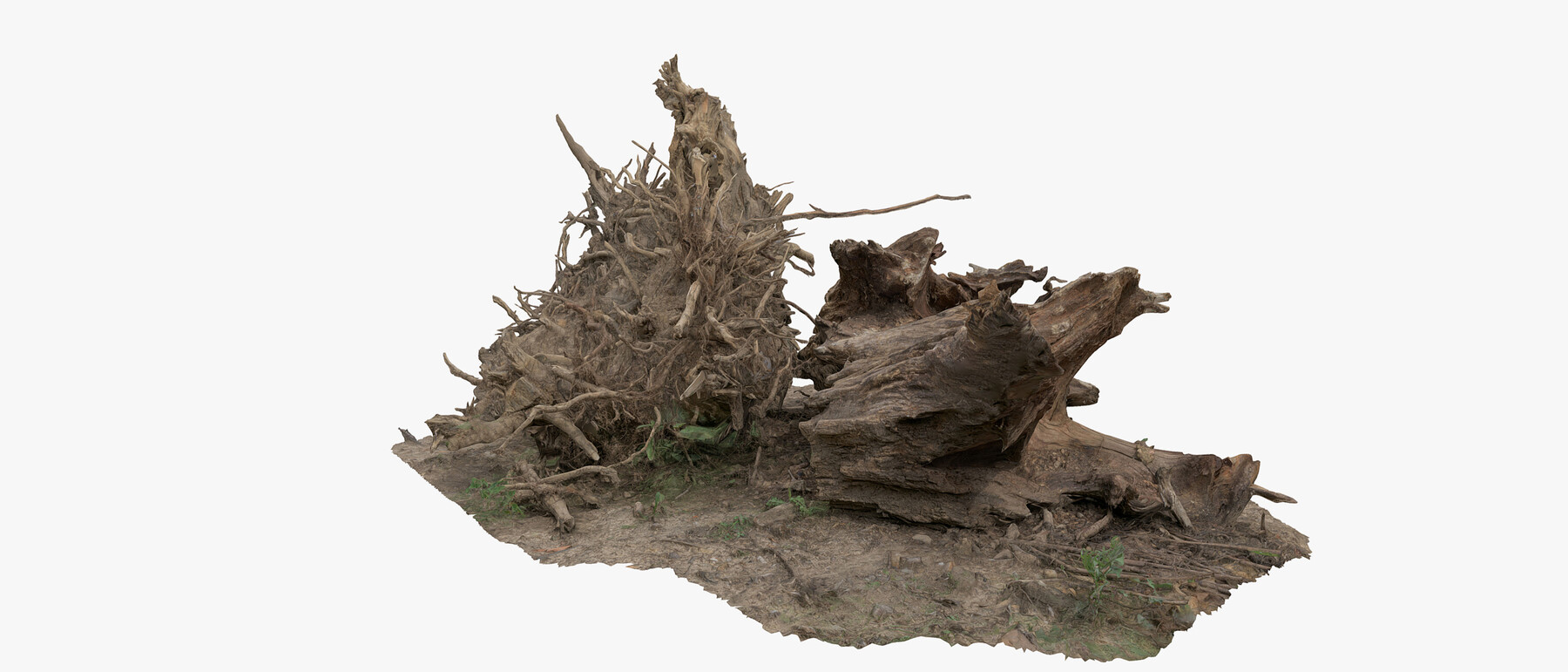 ArtStation - Tree uprooted dry stump roots | Game Assets