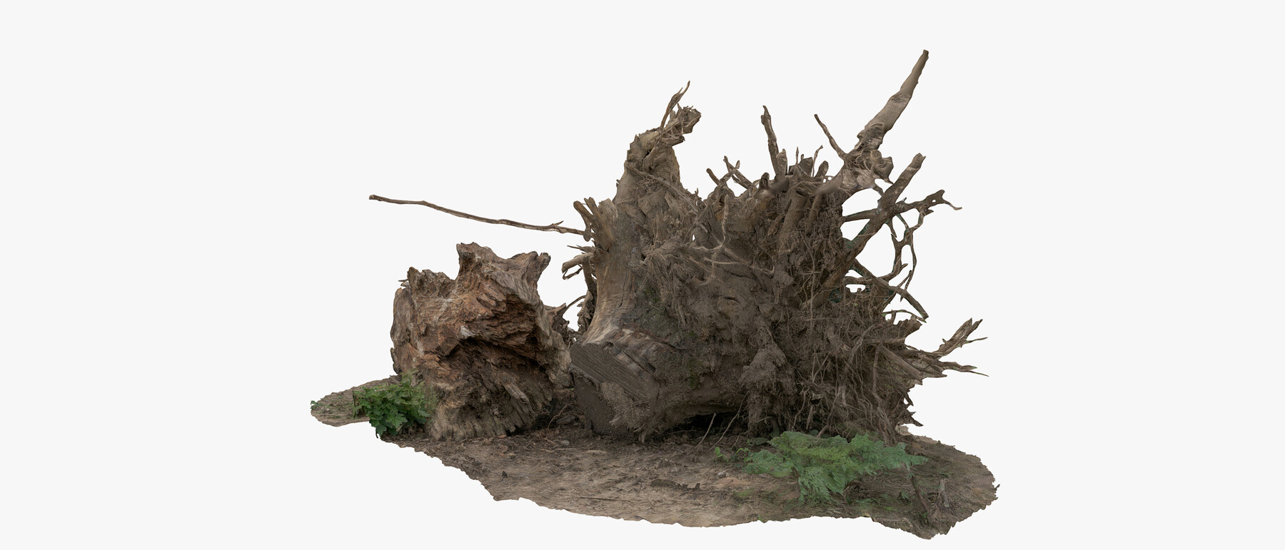 ArtStation - Tree uprooted dry stump roots | Game Assets