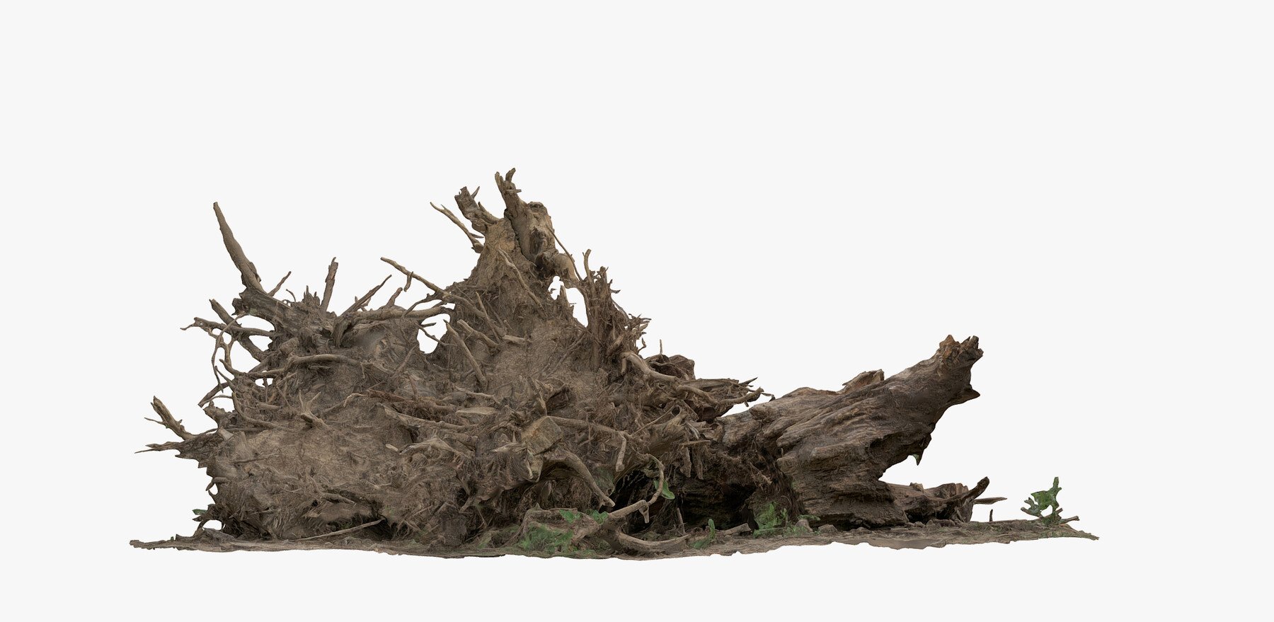 ArtStation - Tree uprooted dry stump roots | Game Assets