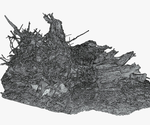 ArtStation - Tree uprooted dry stump roots | Game Assets