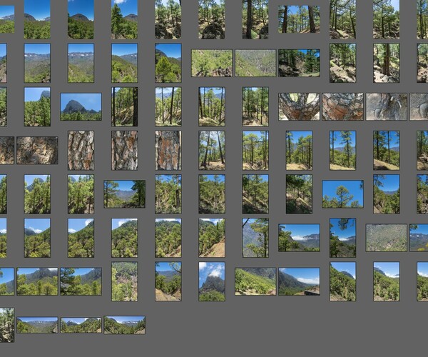 ArtStation - Giant's Forest Texture PACK | Resources