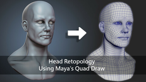 ArtStation - Head Retopology Tutorial Assets | Resources