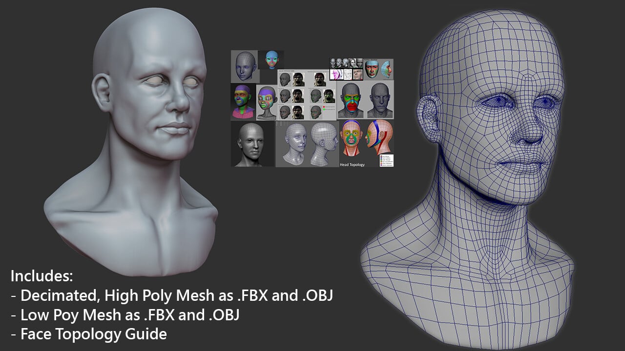 ArtStation - Head Retopology Tutorial Assets | Resources ArtStation - Head Retopology Tutorial Assets | Resources