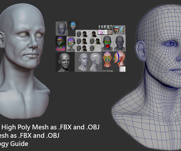 ArtStation - Head Retopology Tutorial Assets | Resources