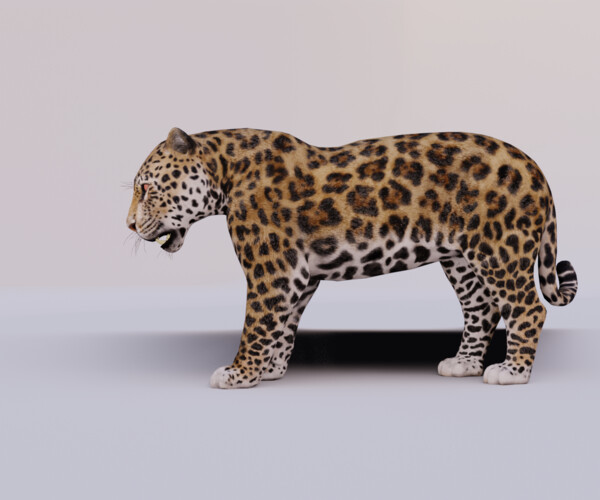ArtStation - ANIMATED JAGUAR ANIMAL LOW POLY | Game Assets