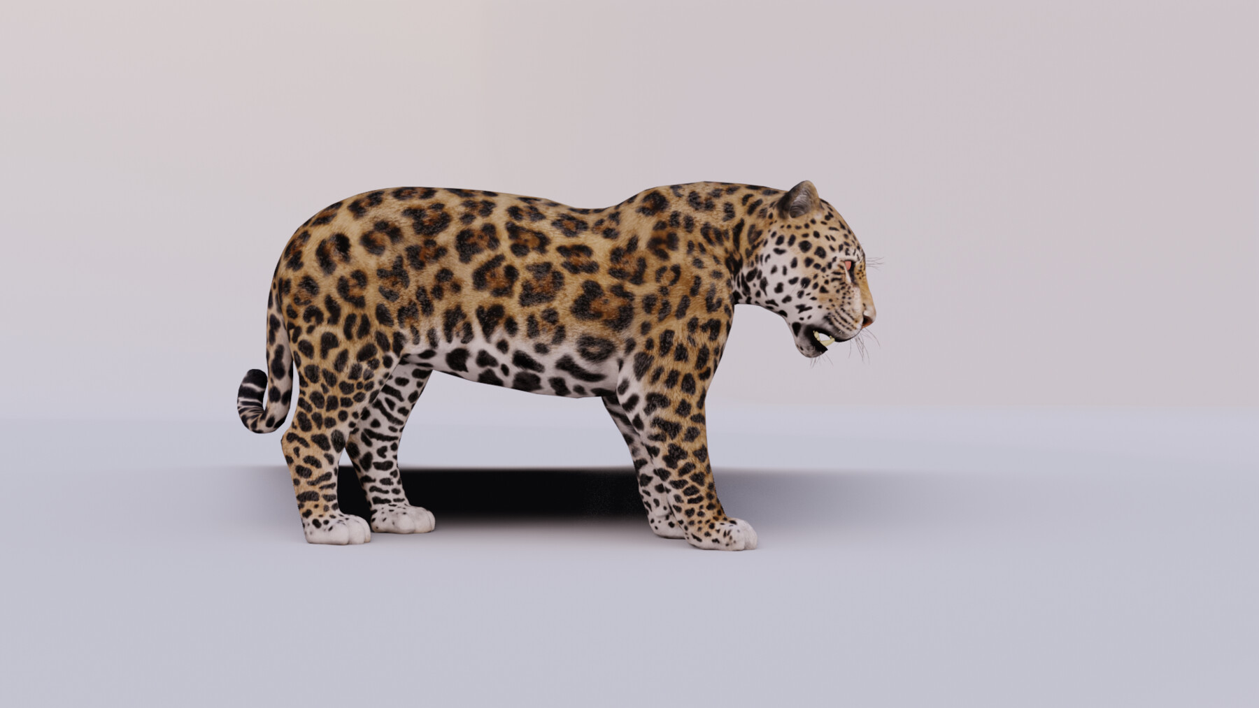 ArtStation - ANIMATED JAGUAR ANIMAL LOW POLY | Game Assets