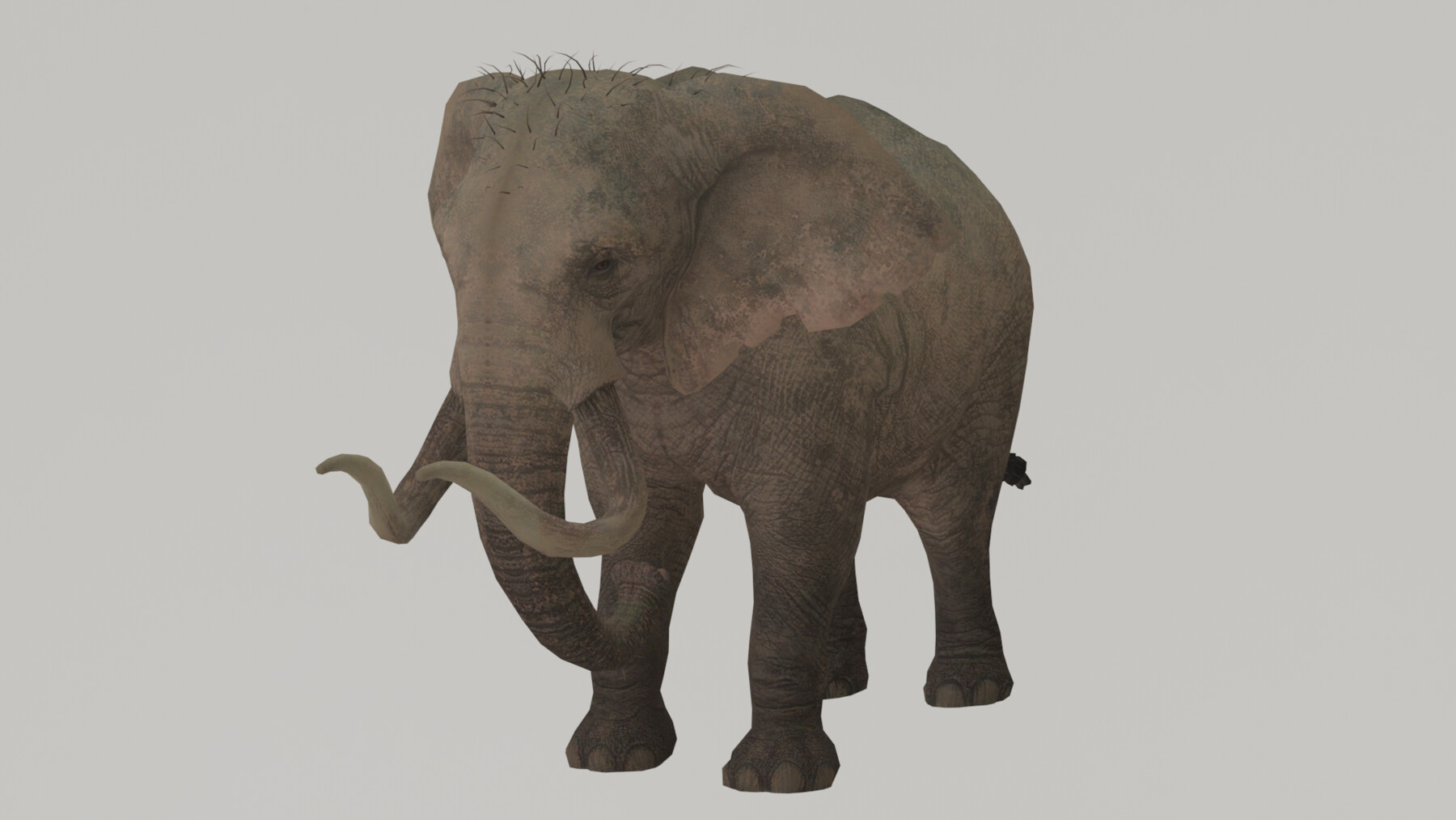 ArtStation - ELEPHANT LOW POLY GAME READY | Resources