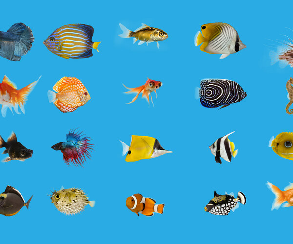 ArtStation - 20 Transparent Fishes - png | Resources