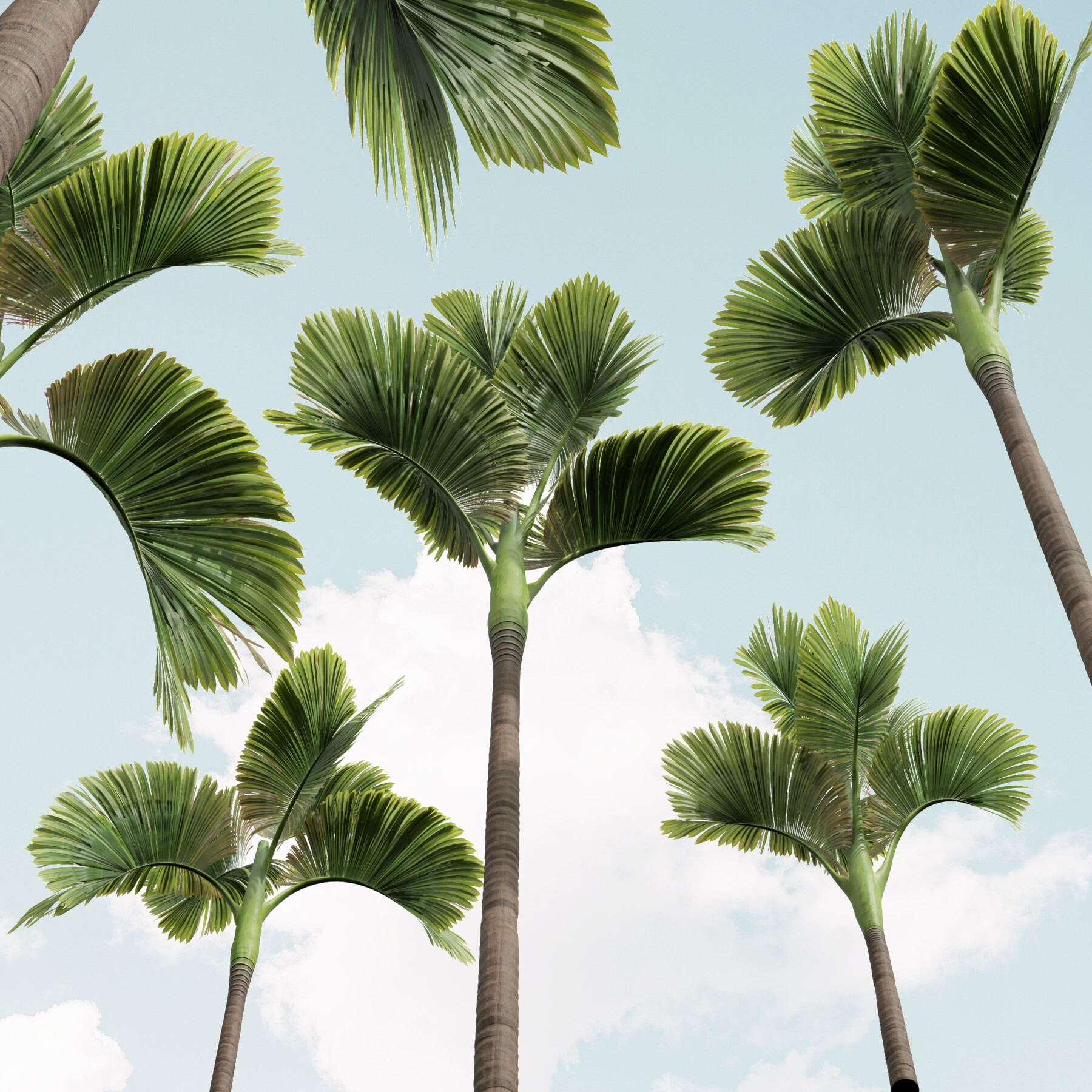 ArtStation - Areca Catechu Decorative Garden | Resources