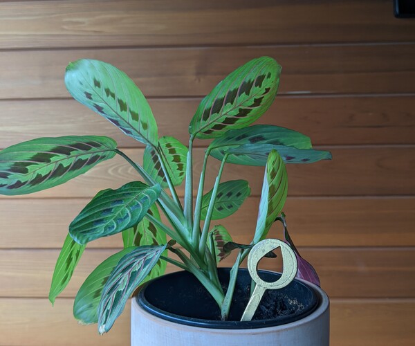 ArtStation - 3D Printable Plant Markers | Resources
