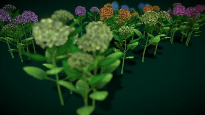 ArtStation - Flower Hydrange | Game Assets