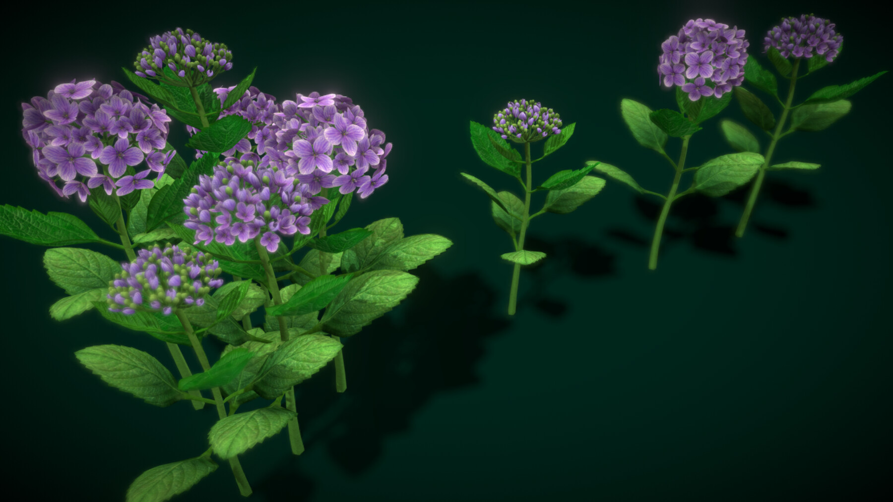 ArtStation - Flower Hydrange | Game Assets