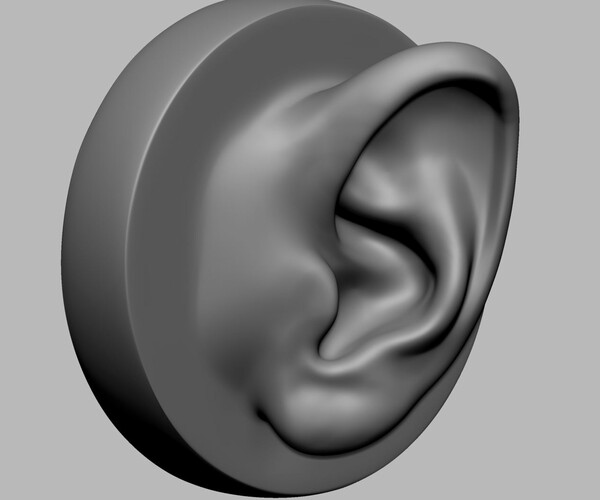 ArtStation - Ear Model A | Resources