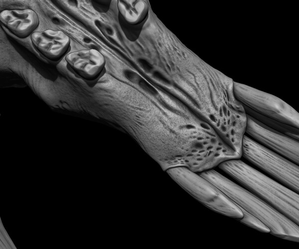 ArtStation - 3D PRINTABLE MYTHOSAUR SKULL - THE MANDALORIAN STAR WARS ...