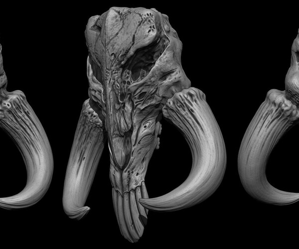 ArtStation - 3D PRINTABLE MYTHOSAUR SKULL - THE MANDALORIAN STAR WARS ...