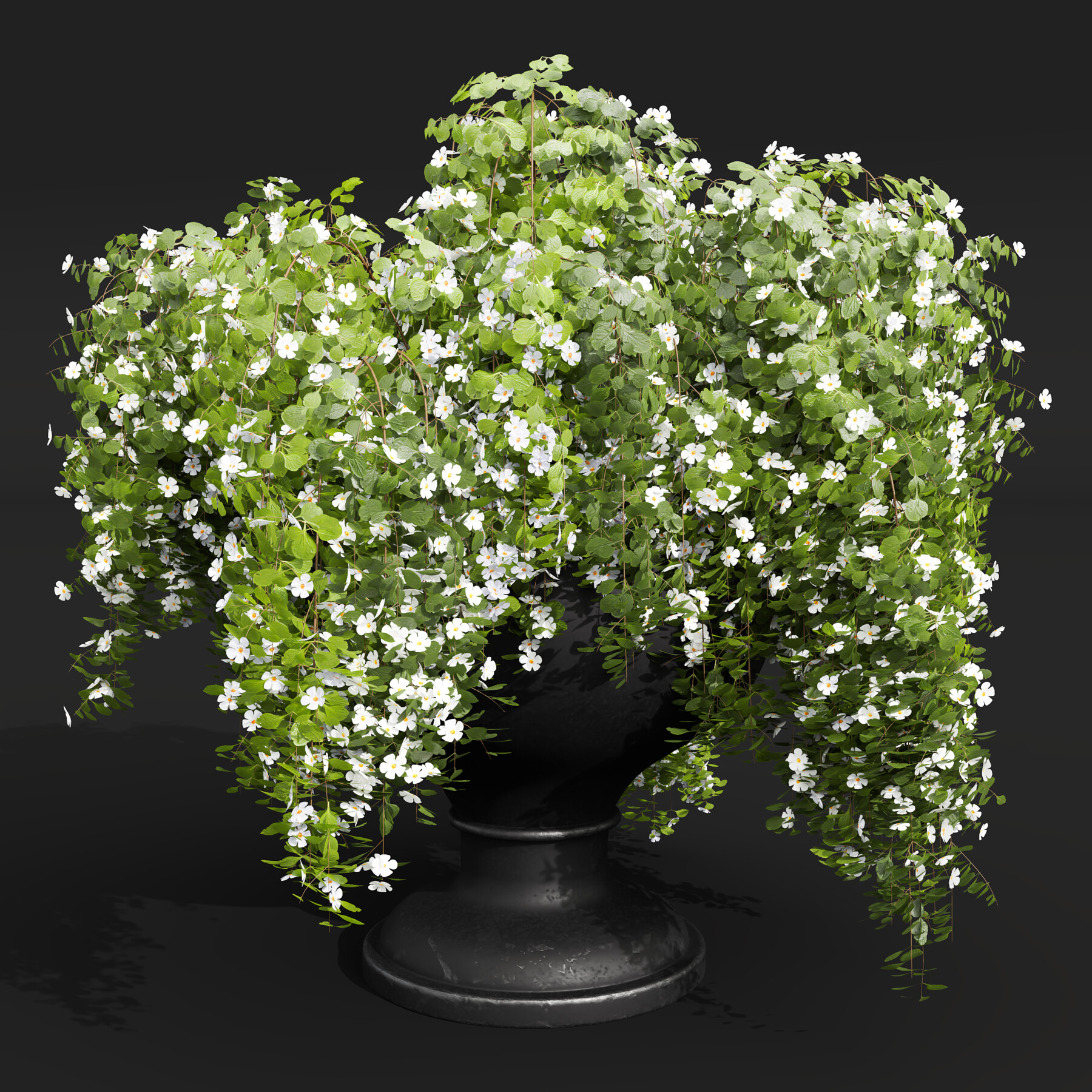 ArtStation - New Plant Bacopa Diffusa Sutera Pot Flower | Resources
