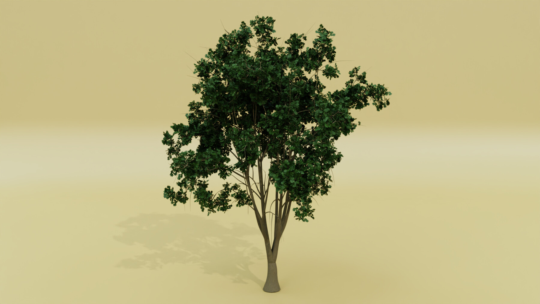 ArtStation - Tropical Tree | Game Assets