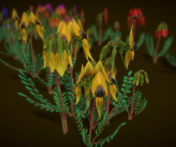 ArtStation - Flower Swainsona Formosa | Game Assets
