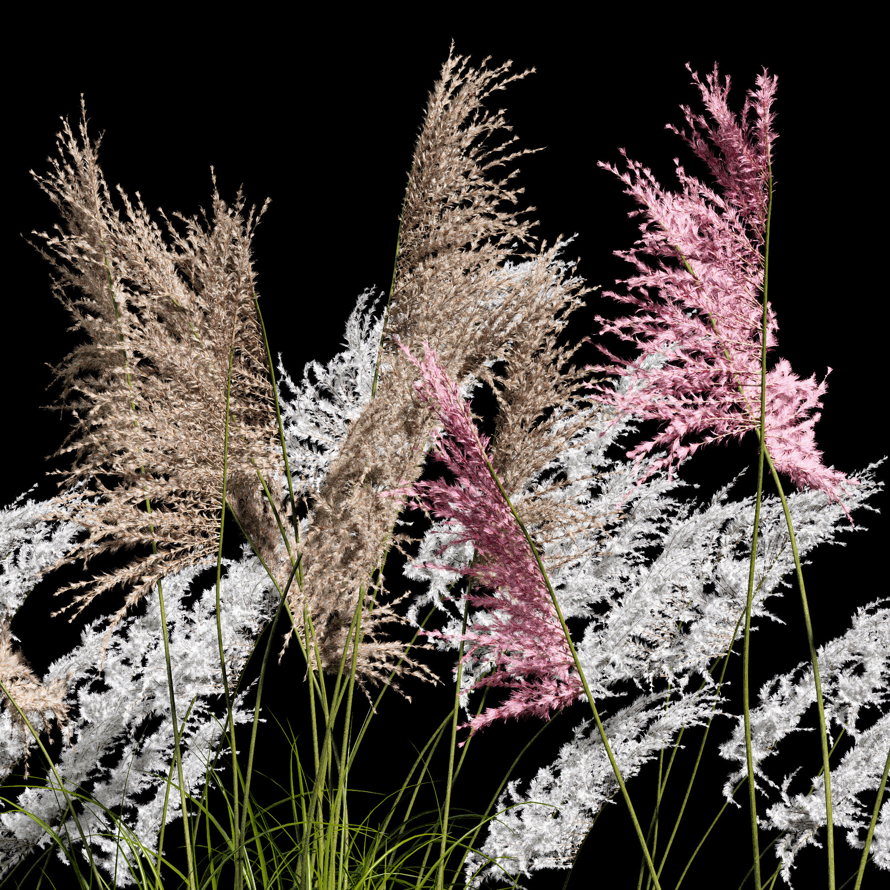 ArtStation - Eriantus of Ravenna Grass | Resources