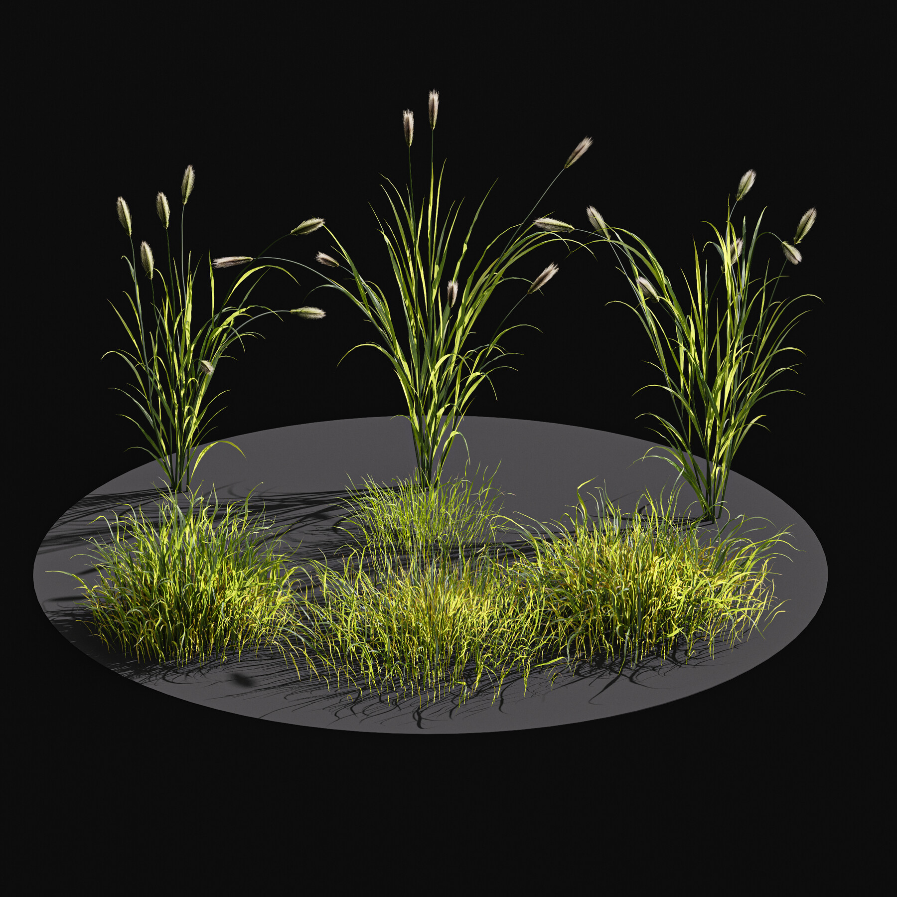 ArtStation - Meadow Lawn Grassland Set 010 | Resources
