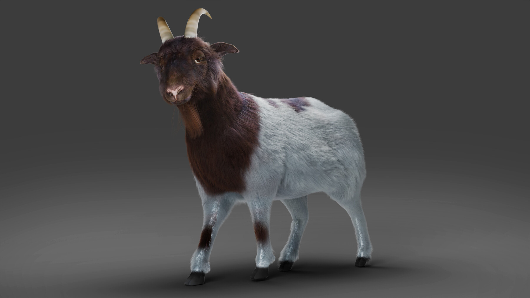 ArtStation - Fur Goat 03 Rigged and Animation in Blender | Game Assets