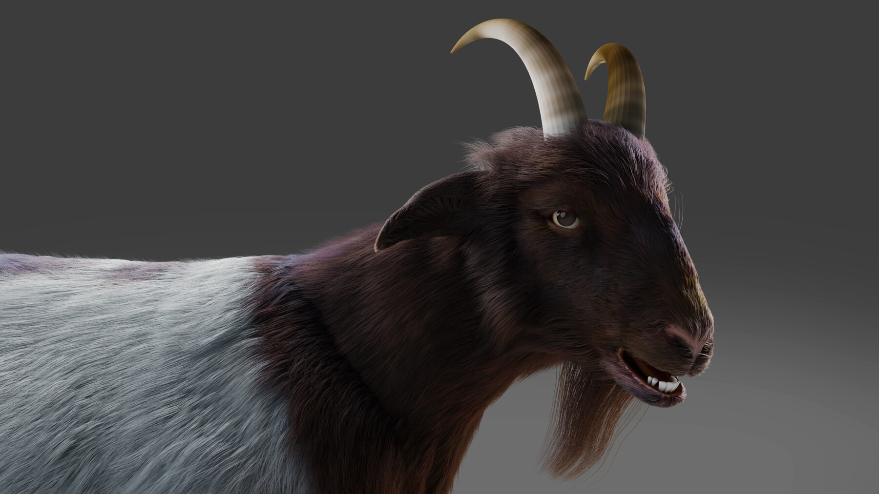 ArtStation - Fur Goat 03 Rigged and Animation in Blender | Game Assets