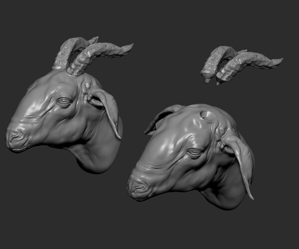 ArtStation - Goat head | Resources