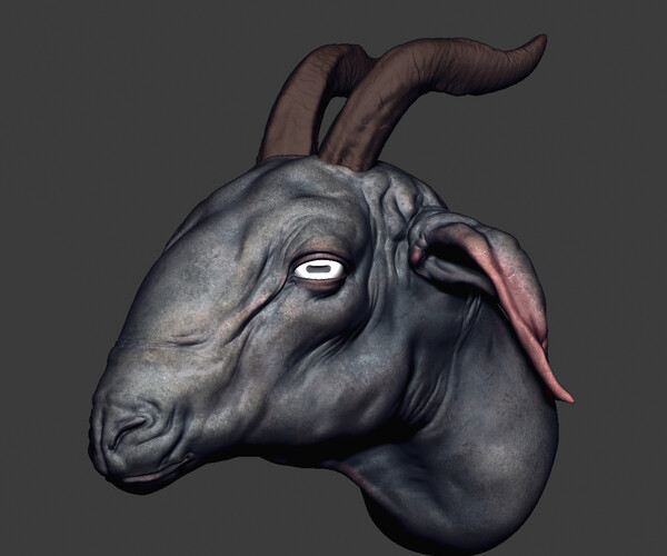 ArtStation - Goat head | Resources