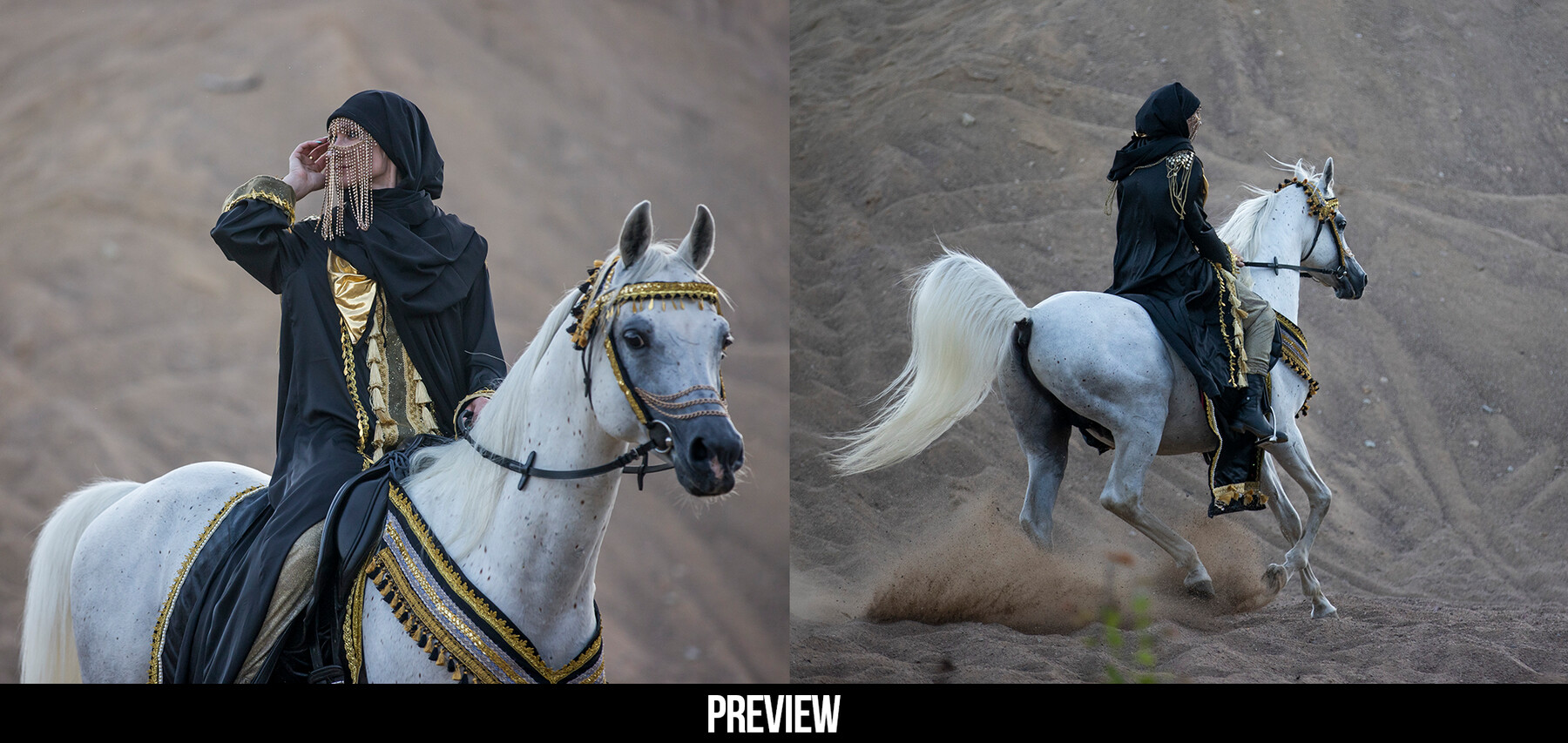 ArtStation - 360+ Desert Horse Rider | Resources