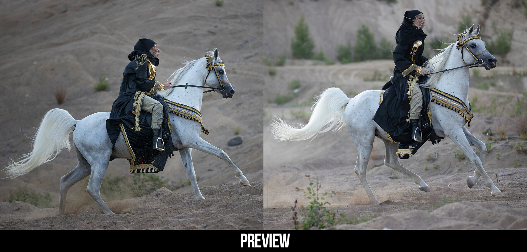 ArtStation - 360+ Desert Horse Rider | Resources