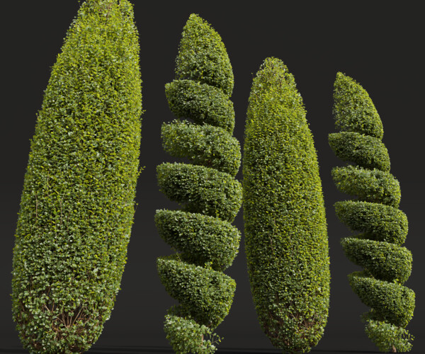 ArtStation - New Plant Ficus Concinna Bonsai Pruned03 | Resources