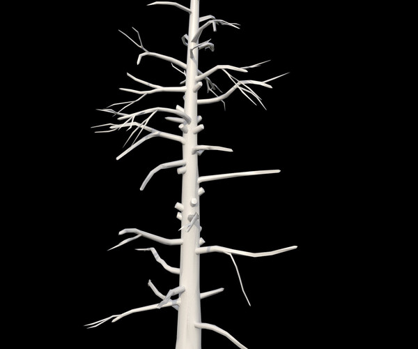 ArtStation - Dead Pine Tree | Game Assets