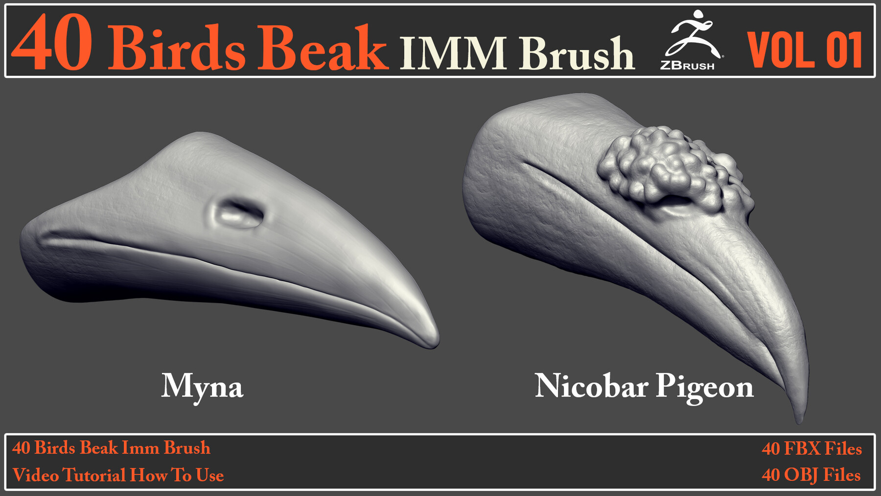 ArtStation - 40 Birds Beak IMM Brush + Video How To Use | Brushes