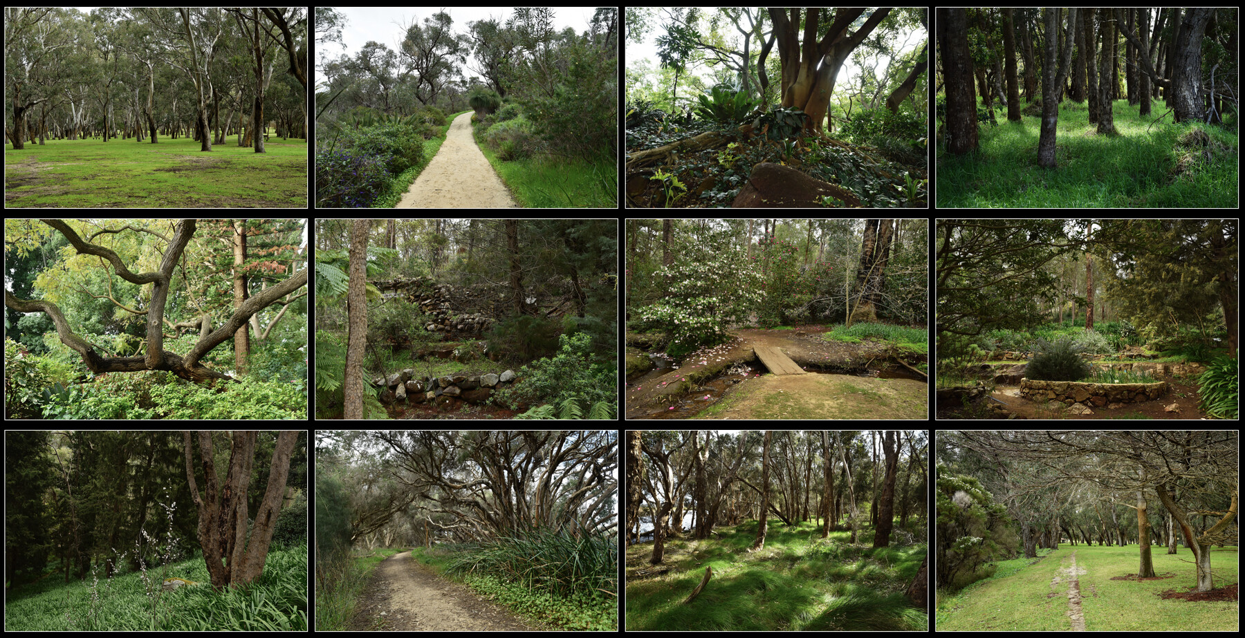 ArtStation - x285 Walk in the park - Landscape Reference Pack | Resources