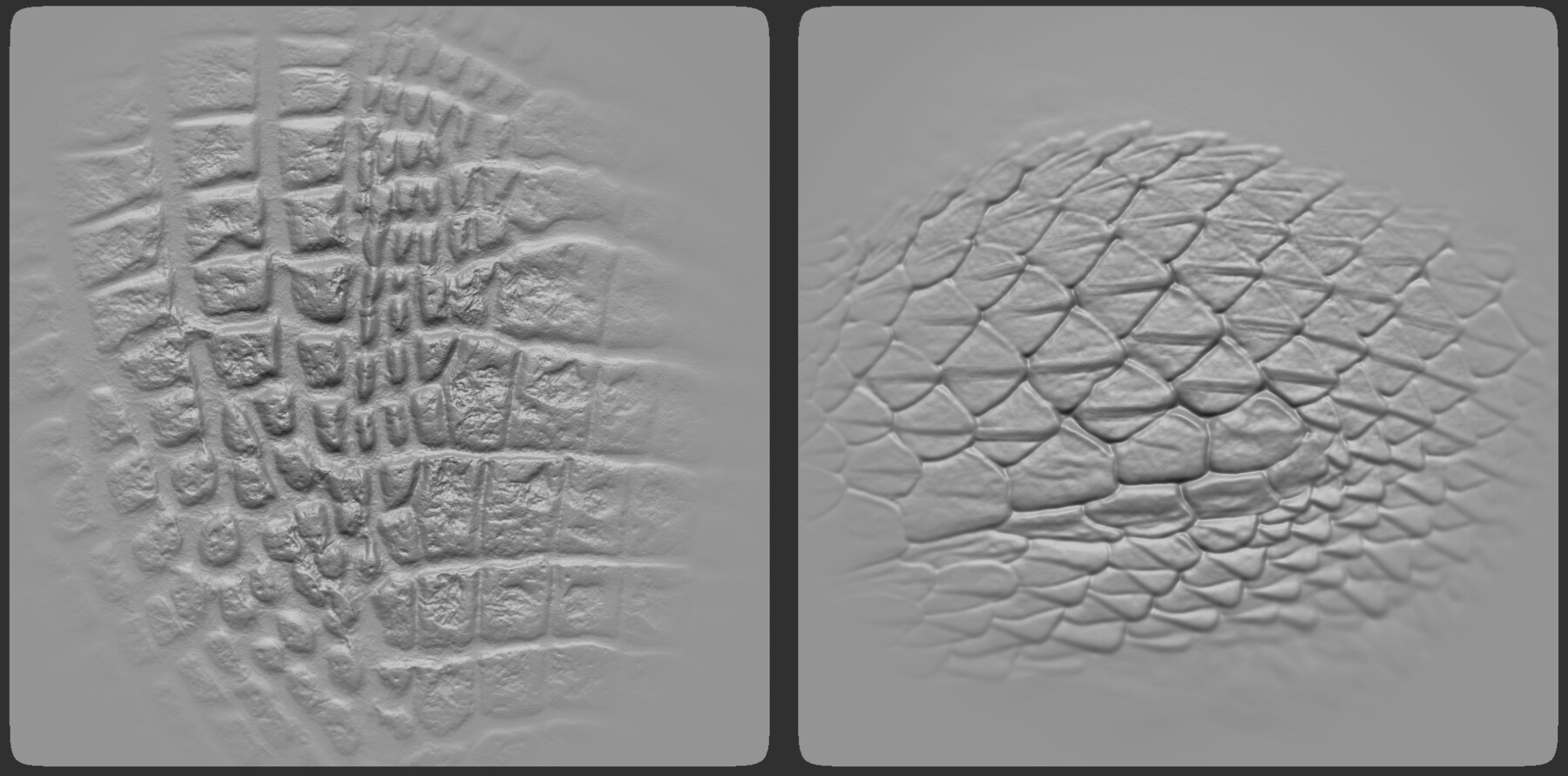 ArtStation - Reptile Scales / Skin Alphas V3 (45 Alphas) [Lizard ...