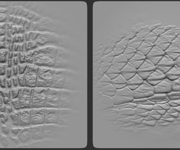 ArtStation - Reptile Scales / Skin Alphas V3 (45 Alphas) [Lizard ...