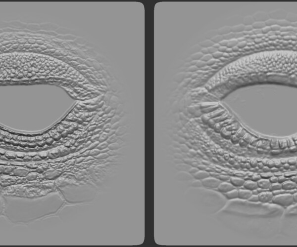 ArtStation - Reptile Scales / Skin Alphas V3 (45 Alphas) [Lizard ...