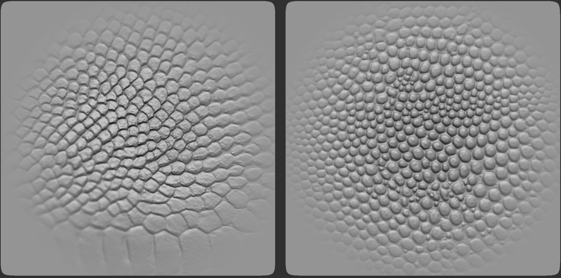 ArtStation - Reptile Scales / Skin Alphas V3 (45 Alphas) [Lizard ...