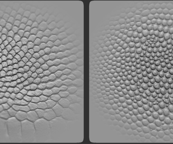 ArtStation - Reptile Scales / Skin Alphas V3 (45 Alphas) [Lizard ...