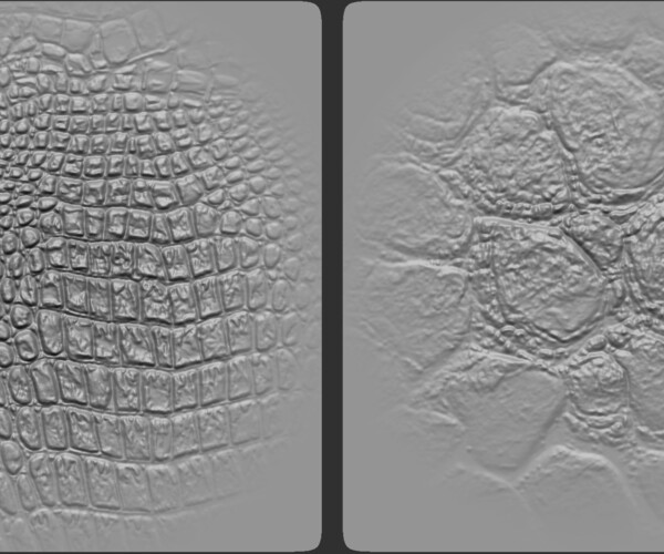 ArtStation - Reptile Scales / Skin Alphas V3 (45 Alphas) [Lizard ...