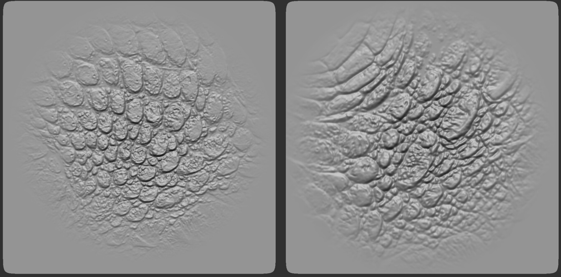 ArtStation - Reptile Scales / Skin Alphas V3 (45 Alphas) [Lizard ...