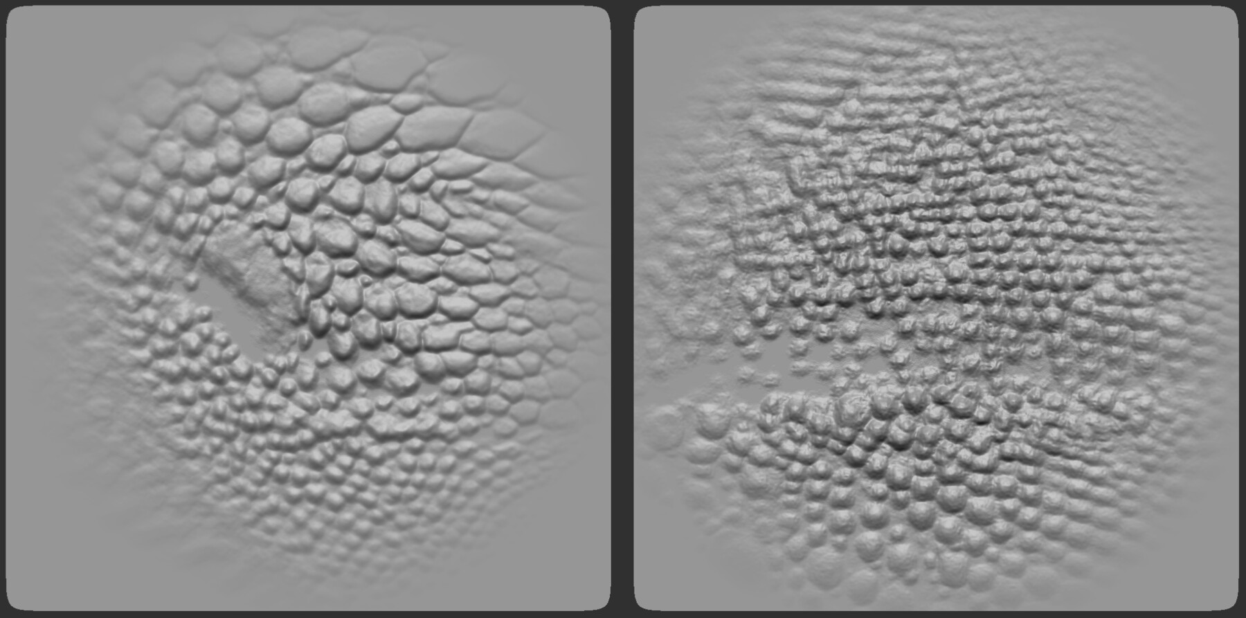 ArtStation - Reptile Scales / Skin Alphas V3 (45 Alphas) [Lizard ...