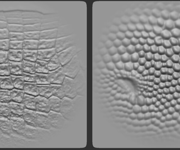 ArtStation - Reptile Scales / Skin Alphas V3 (45 Alphas) [Lizard ...