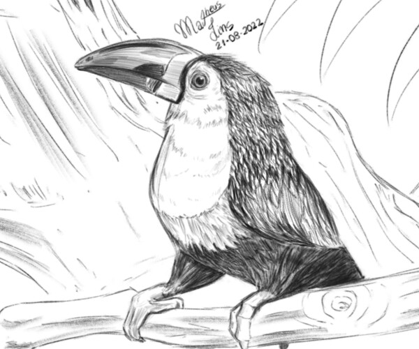 ArtStation - Bird | Matheus Lins | Artworks