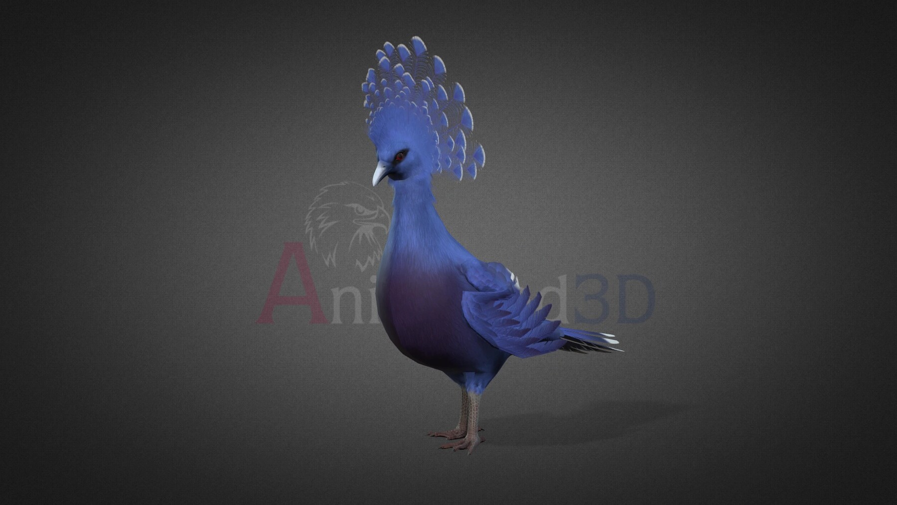 ArtStation - Peafowl-Idle1 | Game Assets